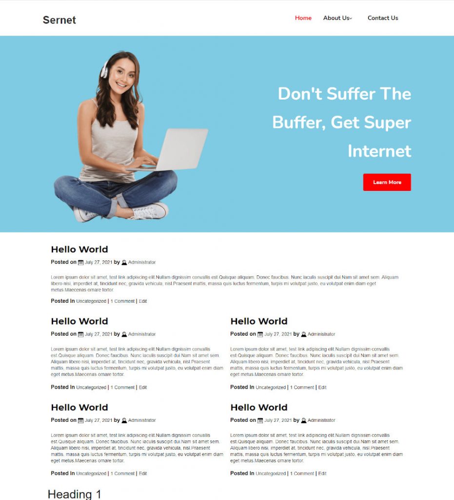 Sernet - Internet Service Provider Blogger Template - TemplateToaster