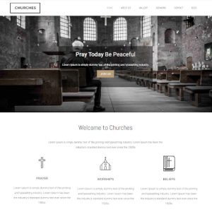 Free Drupal 11 Themes - TemplateToaster
