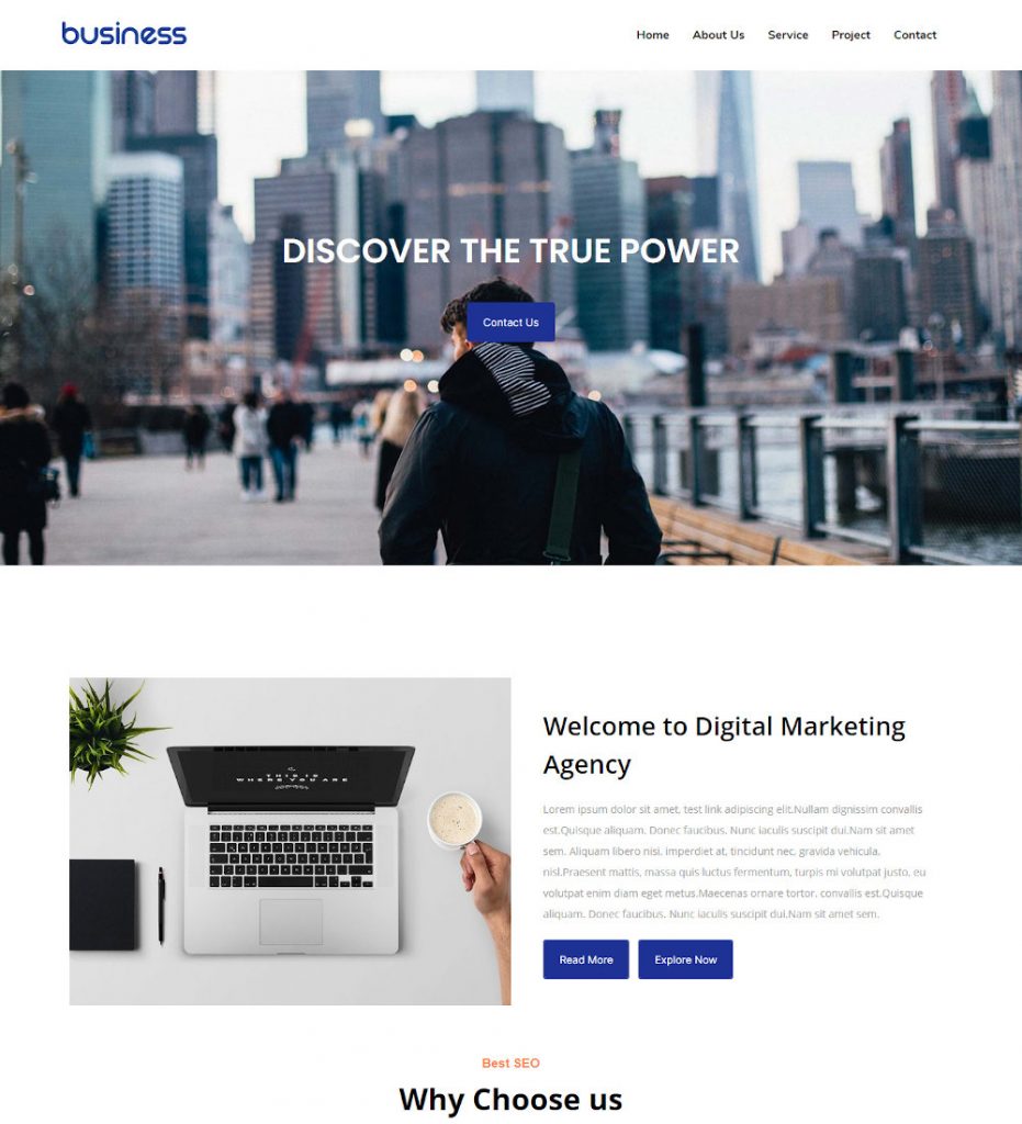 Business - Digital Marketing Template - TemplateToaster