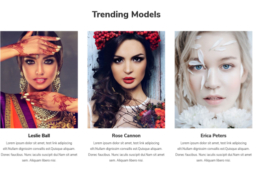 Service 8 - TemplateToaster