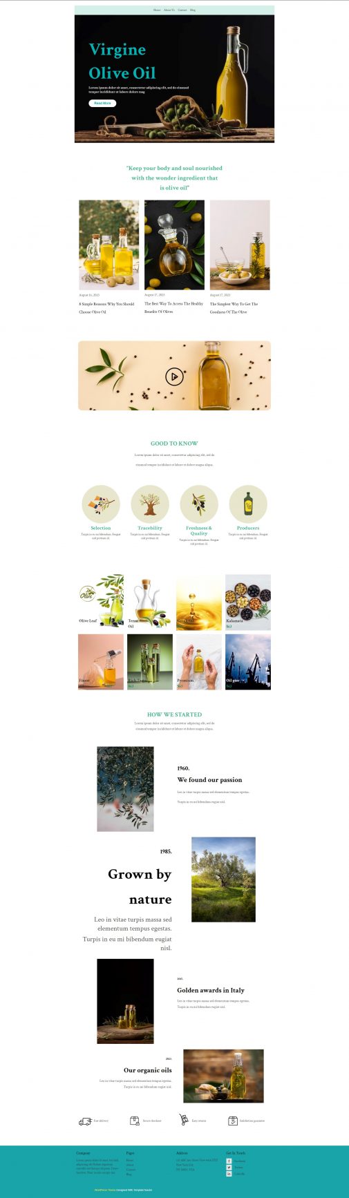 Olive WordPress Theme - TemplateToaster